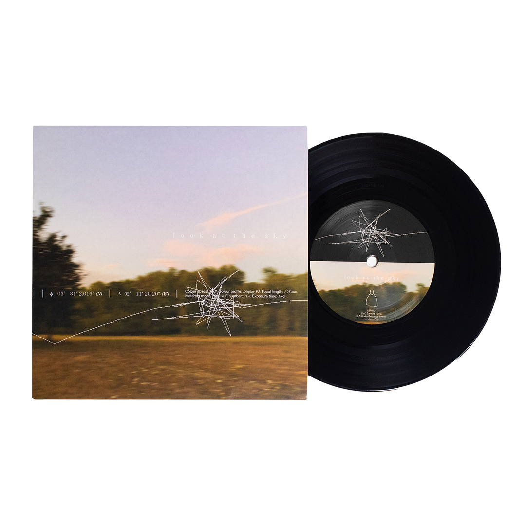 look at the sky 7" vinyl - alternative artwork cover #1 – Porter Robinson